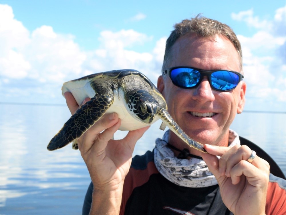 Perseverance Pays Off: Sea Turtle Project Launches on the Nature Coast ...