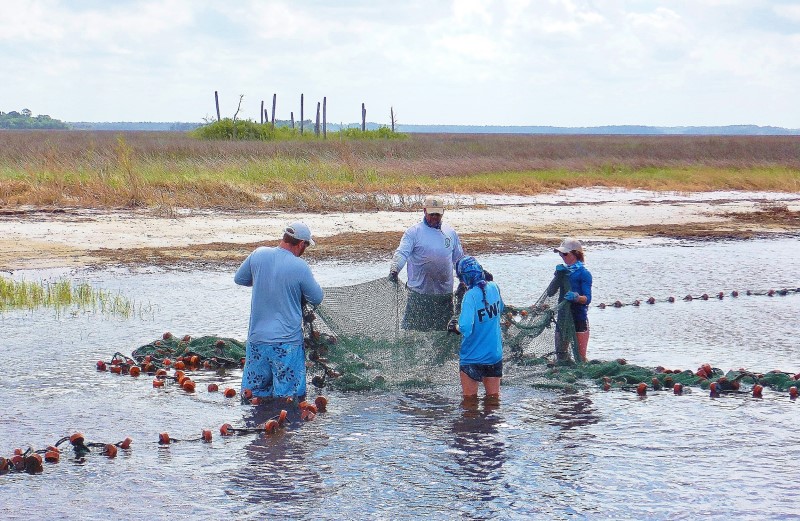 NCBS Intern Report: Fisheries Independent Monitoring - Marine Research ...