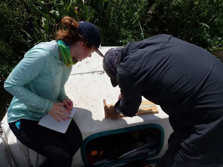 Maximizing Fish Habitat Through Submerged Aquatic Vegetation ...