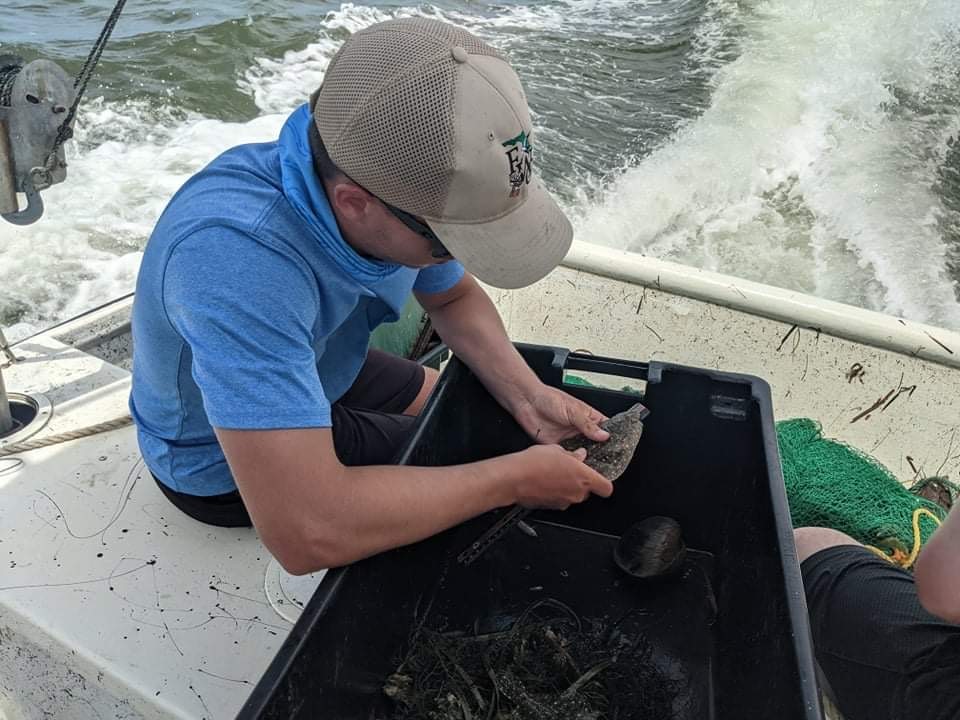 NCBS Intern Report: Fisheries Independent Monitoring - UF/IFAS Nature ...