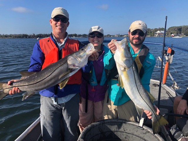 SWFWMD, FWC, UF launch shocking snook study in King's Bay - UF/IFAS ...