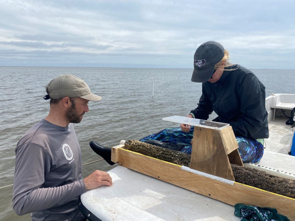 OPERATION SPATFALL: Exploration, experimentation, and restoration of ...