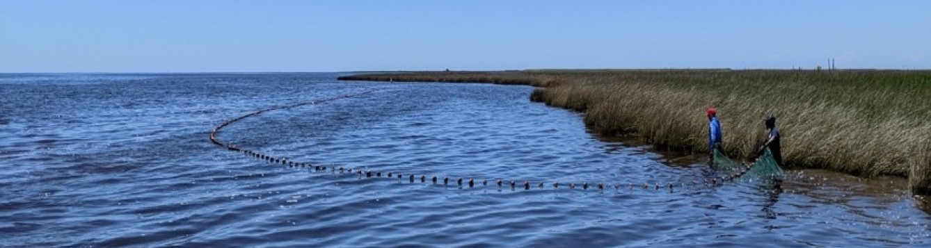 NCBS Intern Report: FWC Fisheries-Independent Monitoring and Marine ...