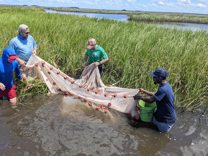 NCBS Intern Report: FWC Fisheries-Independent Monitoring and Marine ...