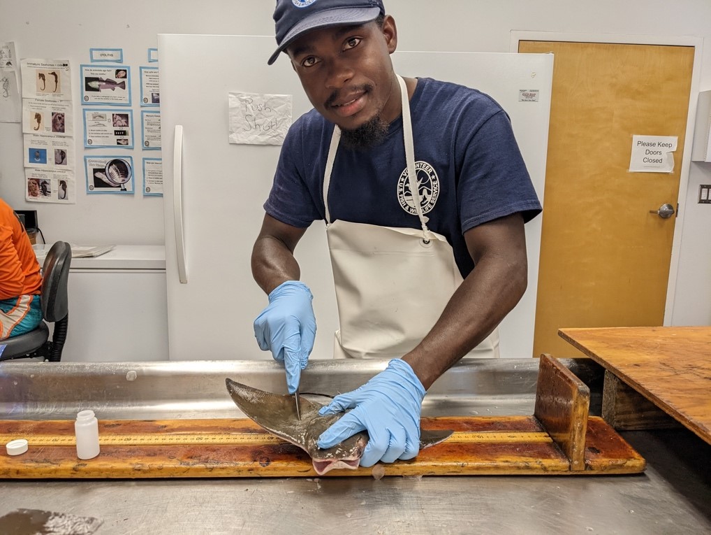 NCBS Intern Report: FWC Fisheries-Independent Monitoring and Marine ...