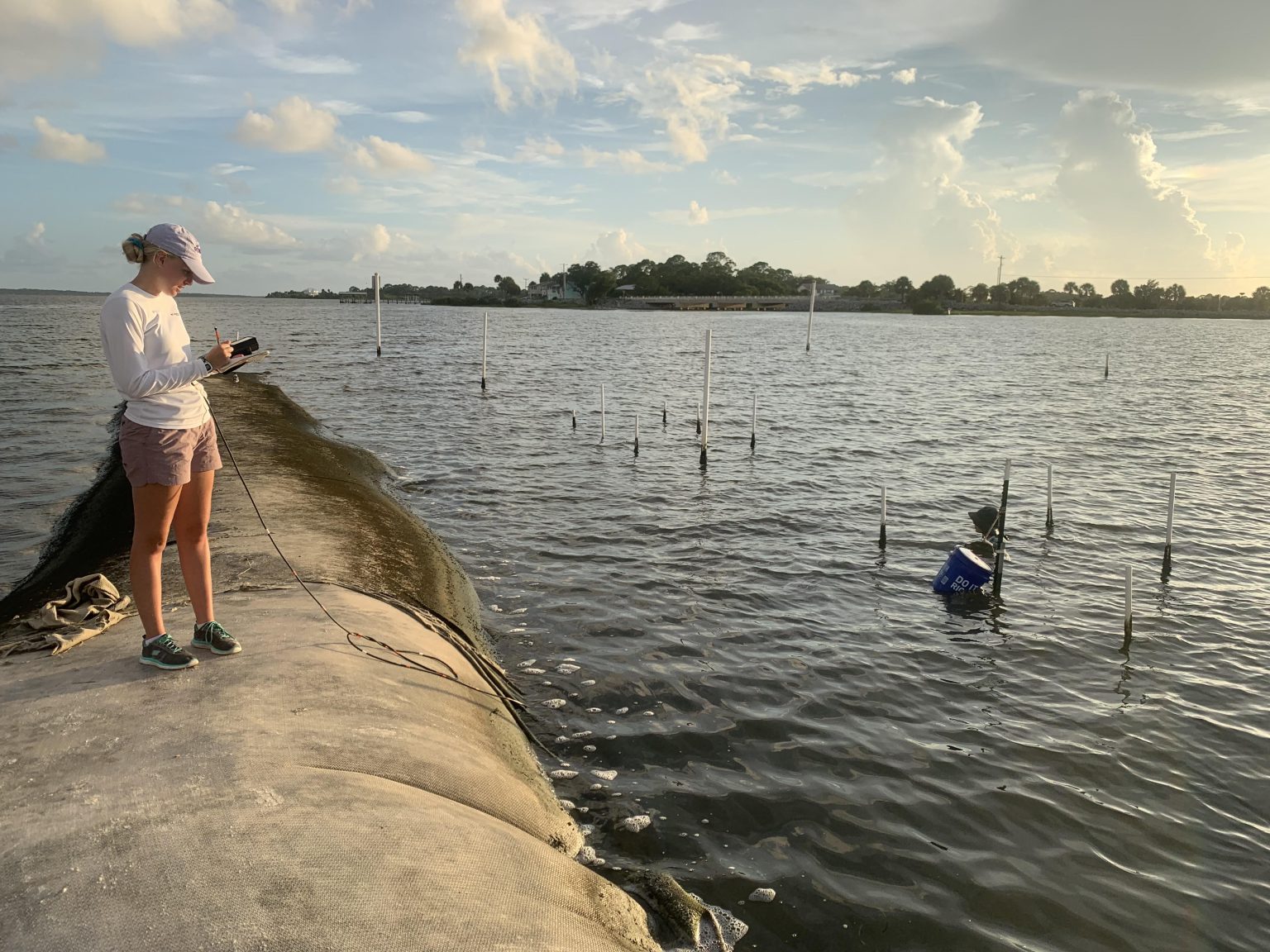 NCBS Intern Report: Operation Spatfall - UF/IFAS Nature Coast ...