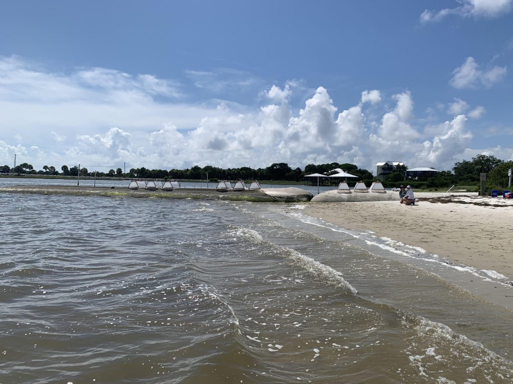 NCBS Intern Report: Operation Spatfall - UF/IFAS Nature Coast ...