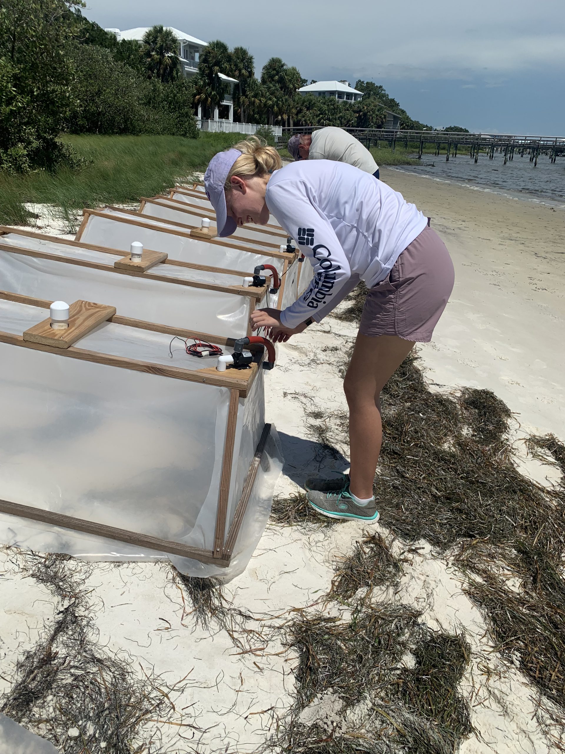 NCBS Intern Report: Operation Spatfall - UF/IFAS Nature Coast ...