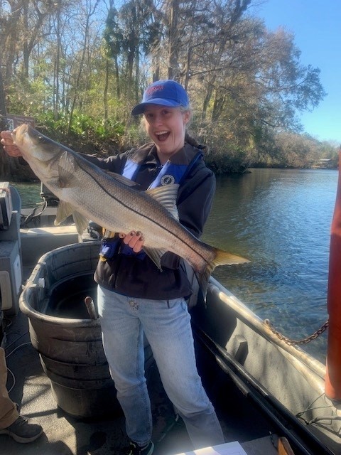 New River, Who Dis? Snook Habitat Expansion in the Nature Coast - UF ...