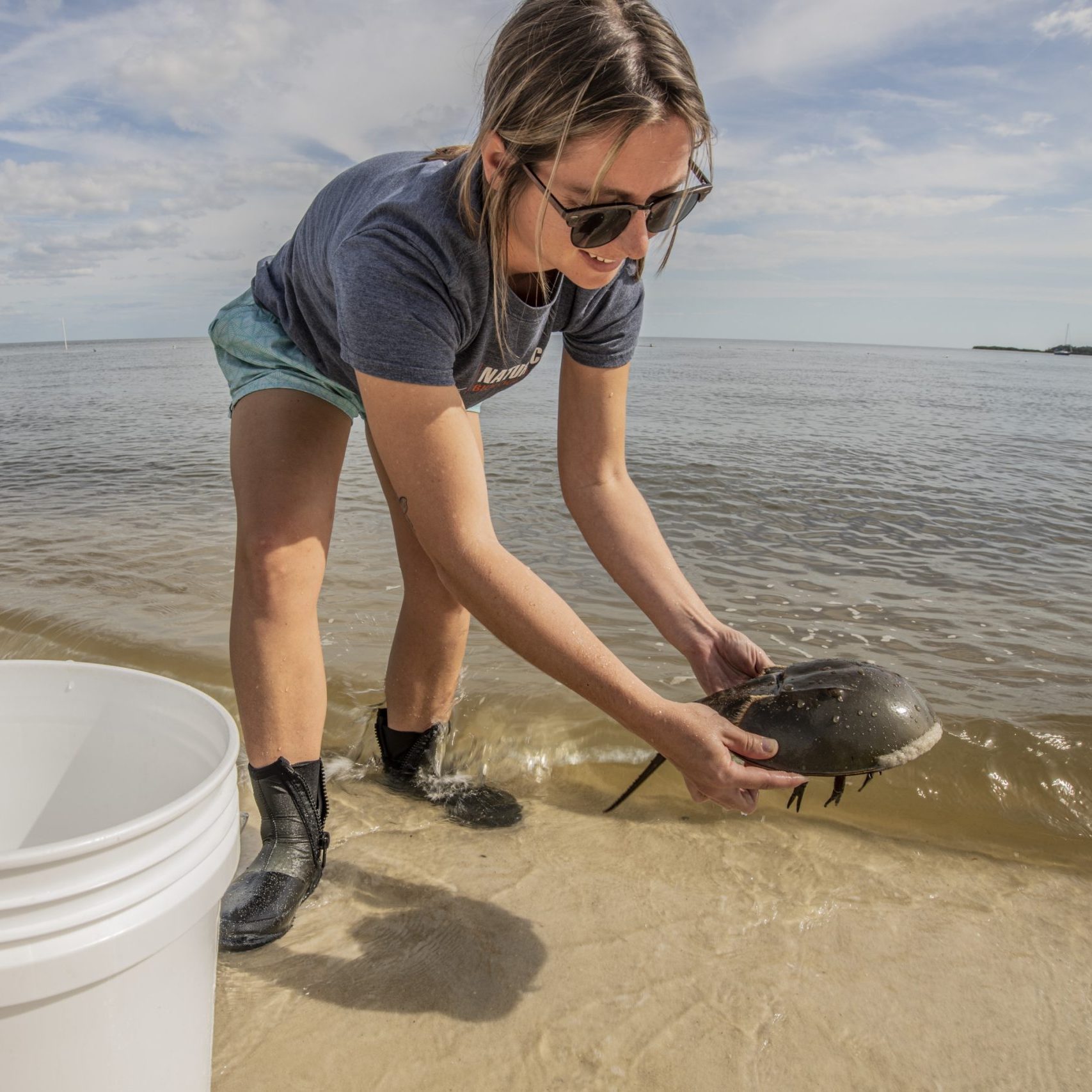 Emily Colson, Author at UF/IFAS Nature Coast Biological Station