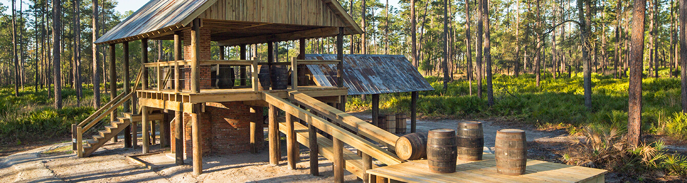 Antique turpentine still to be unveiled at UF Austin Cary Forest - News