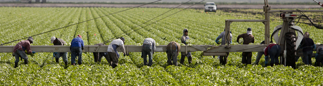 UF to Host Seminar on Farm Safety on March 16 - News