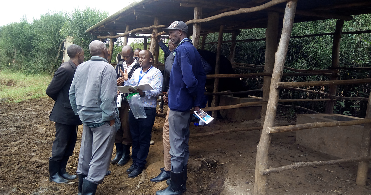 UF-Supported Student Recognized for Work in Rwanda’s Milk Production ...