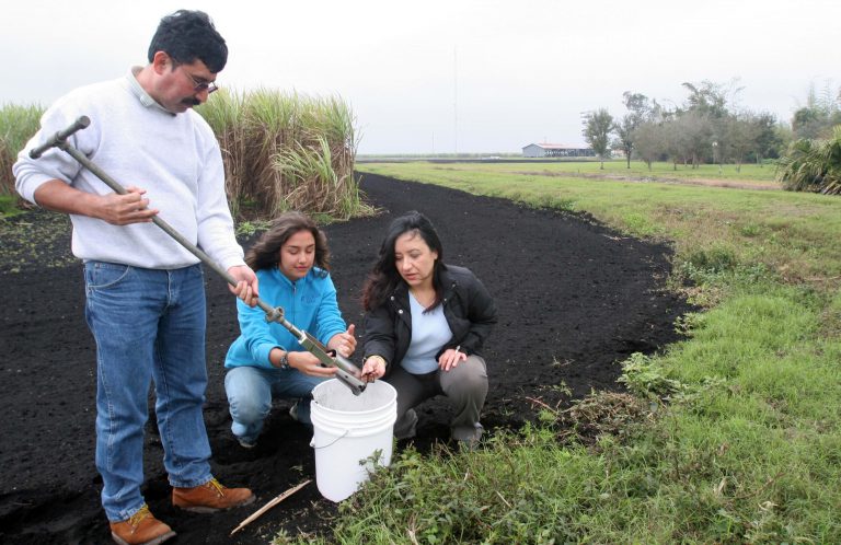 There’s Plenty to See, Do, Learn at Everglades Research and Education ...