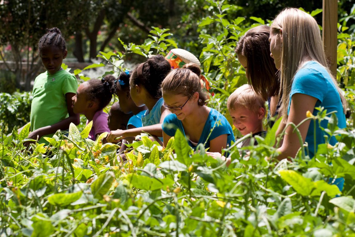 Get in Touch with Nature on April 19: Join the BioBlitz at Long Key ...