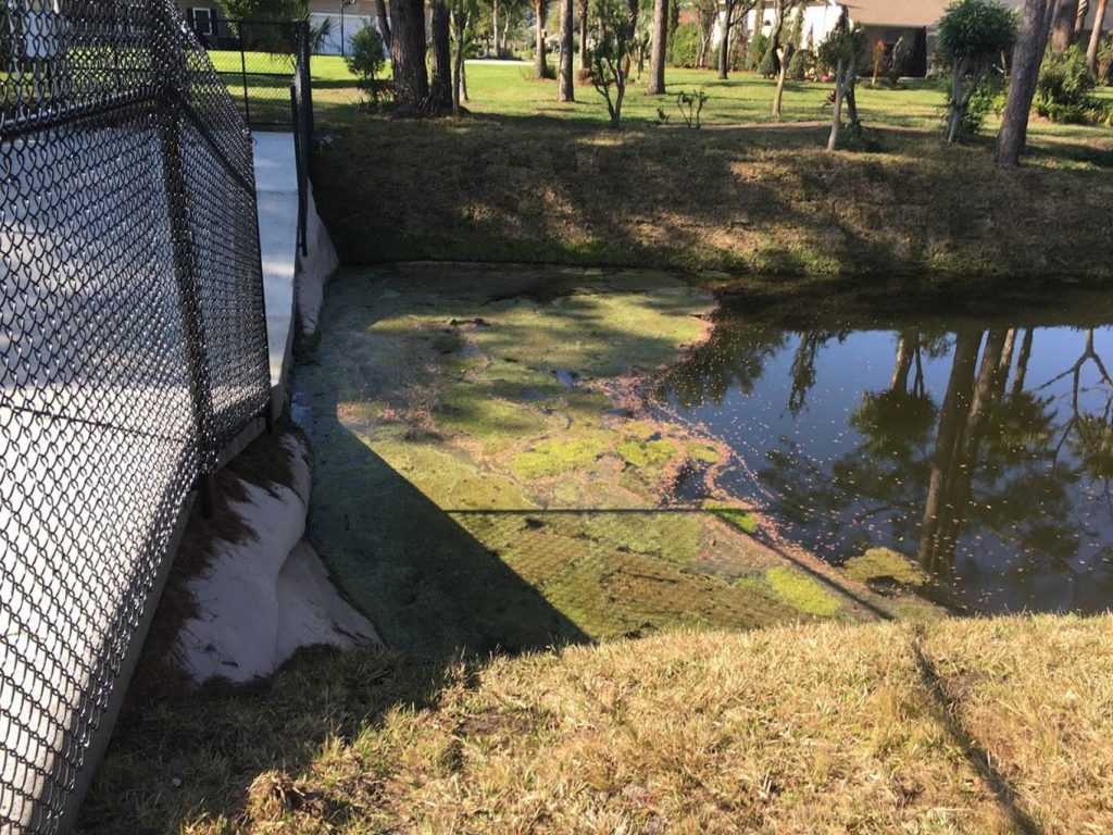 As Florida grows, Low-Impact Development could offer protection for ...