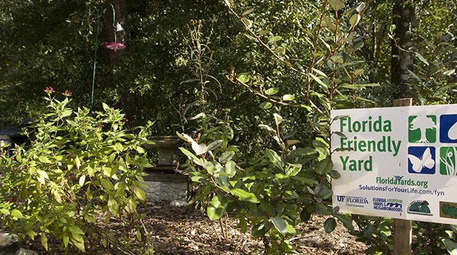 University of Florida Institute of Food and Agricultural Sciences ...