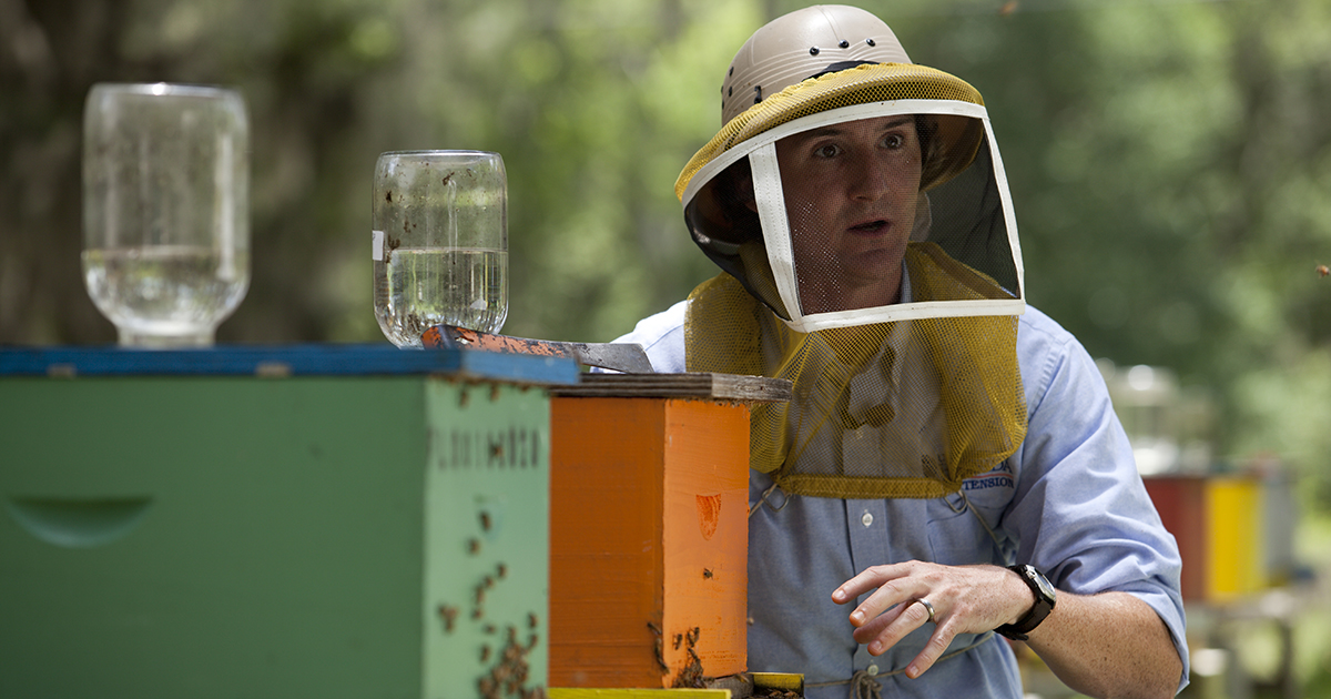 Jamie Ellis, director of UF/IFAS honey bee lab, wins national ...