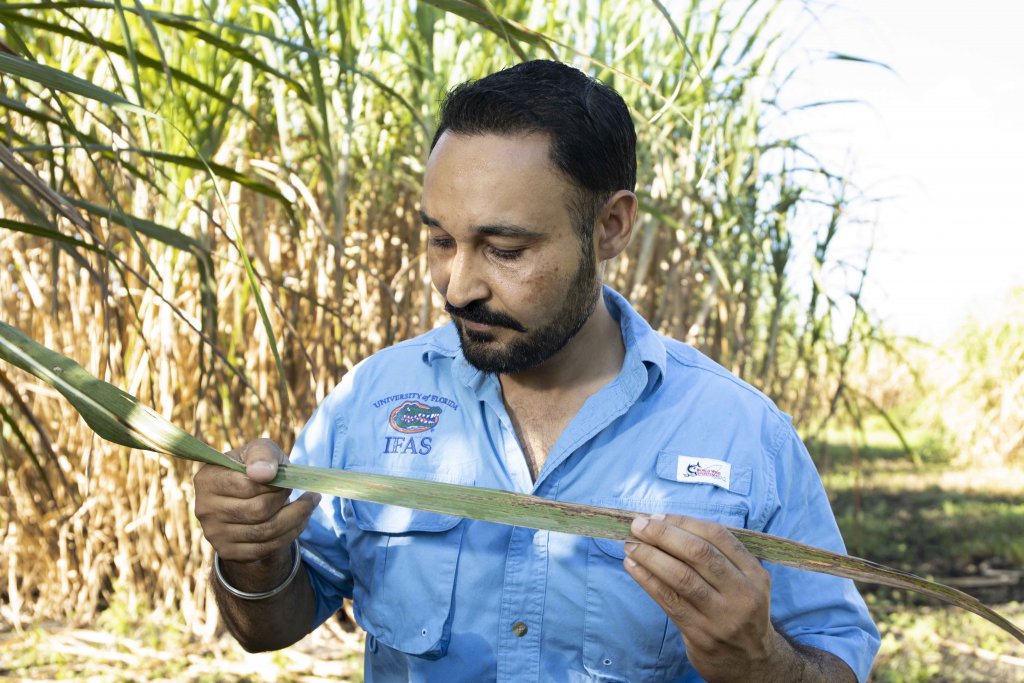 Add some Florida flavors to your holiday meal - News