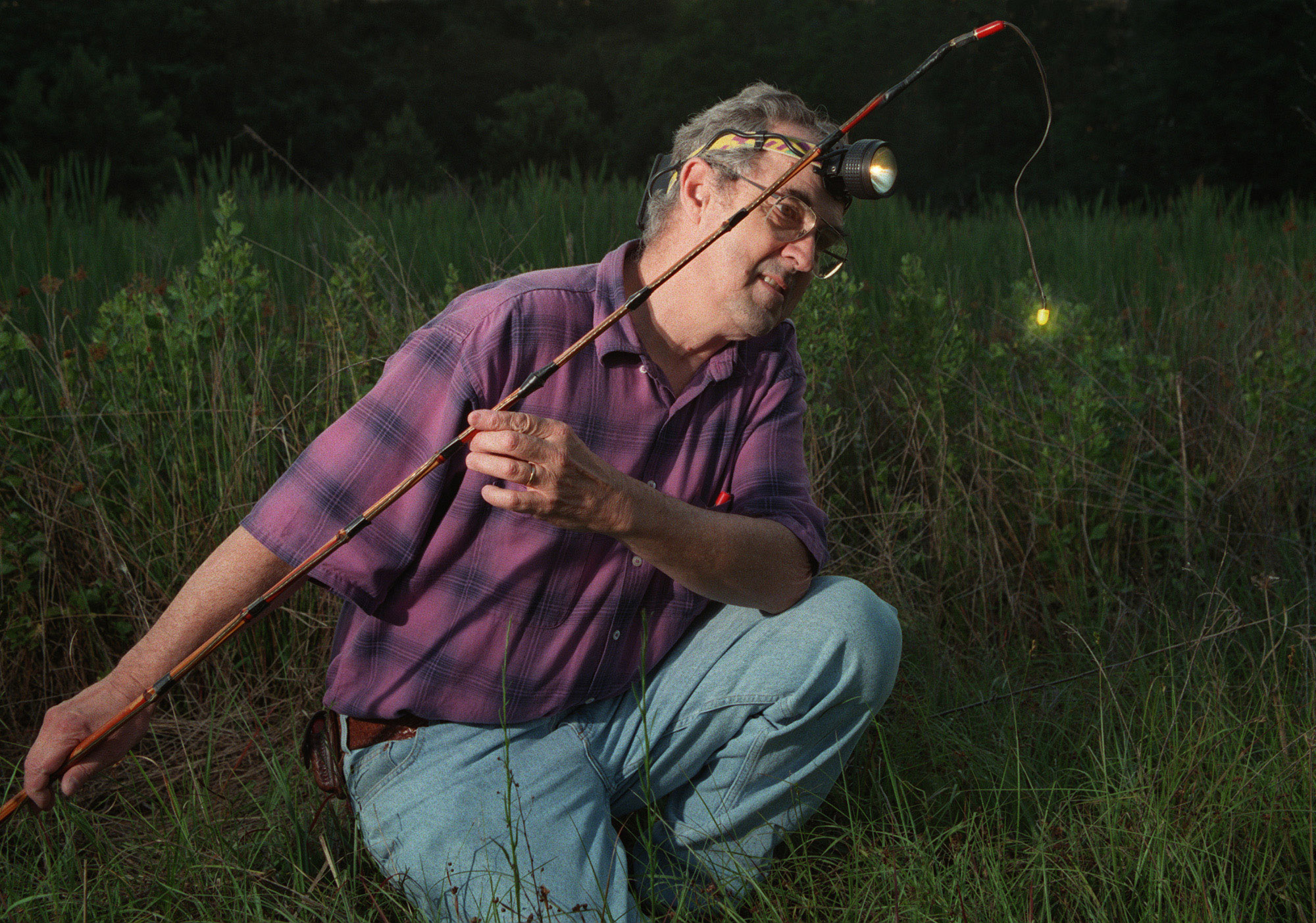New firefly species named after esteemed UF entomologist Jim Lloyd - News