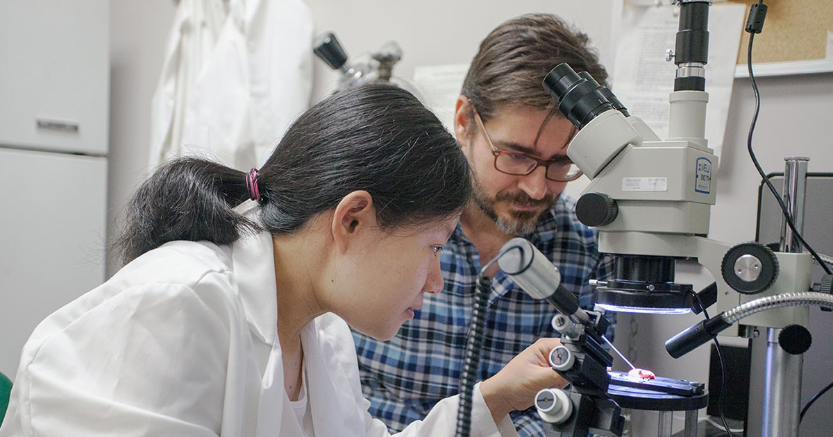 Insect dormancy discovery offers clues to flipping the hibernation ...