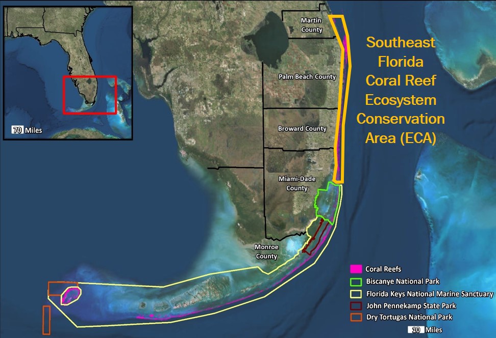 Public input needed for Southeast Coral Reef Ecosystem Conservation ...