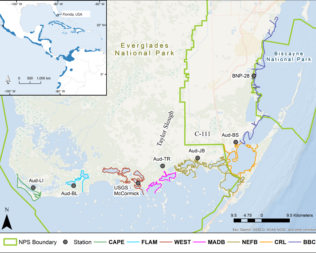 UF/IFAS study connects how health status of American Crocodiles is ...