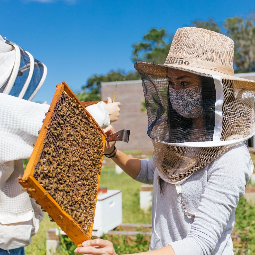 Voices of UF/IFAS: Amy Vu - News