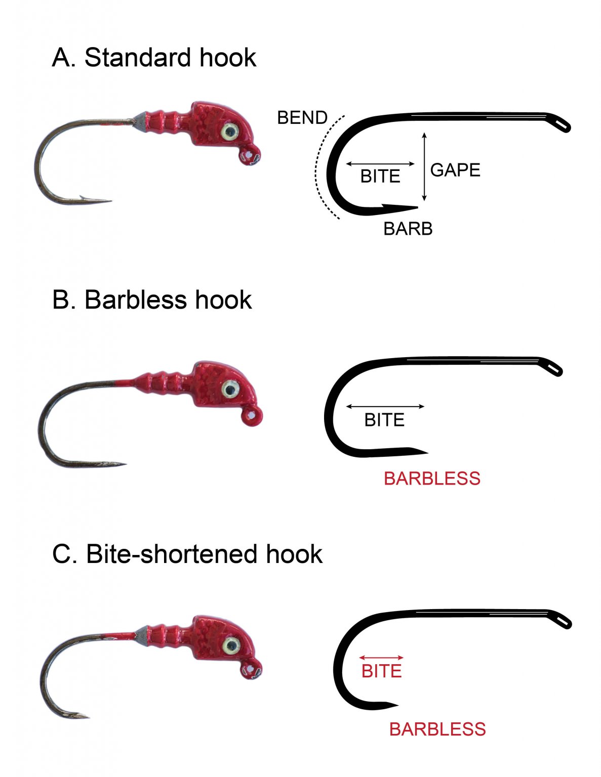 Study: Hook designed to help fish survive catch and release shows ...
