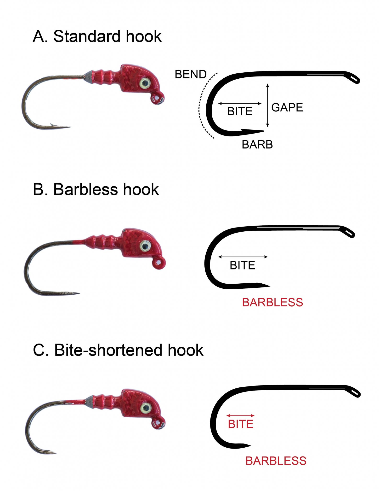 Study: Hook designed to help fish survive catch and release shows ...
