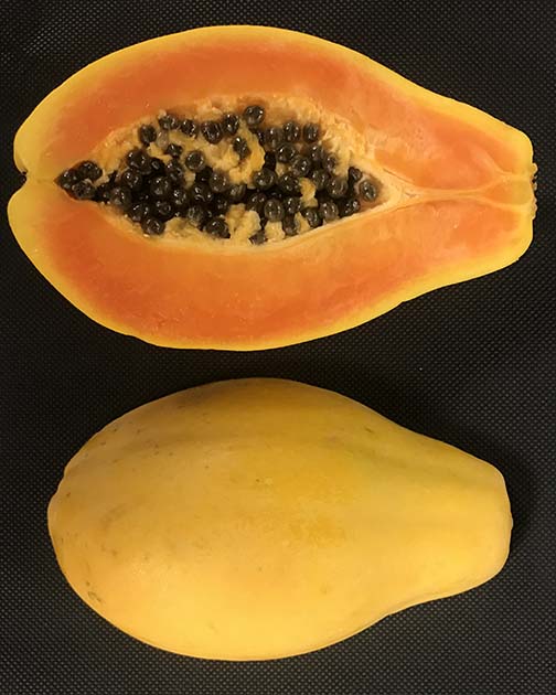 Papaya consumer popularity prompts UF/IFAS trial for commercial ...