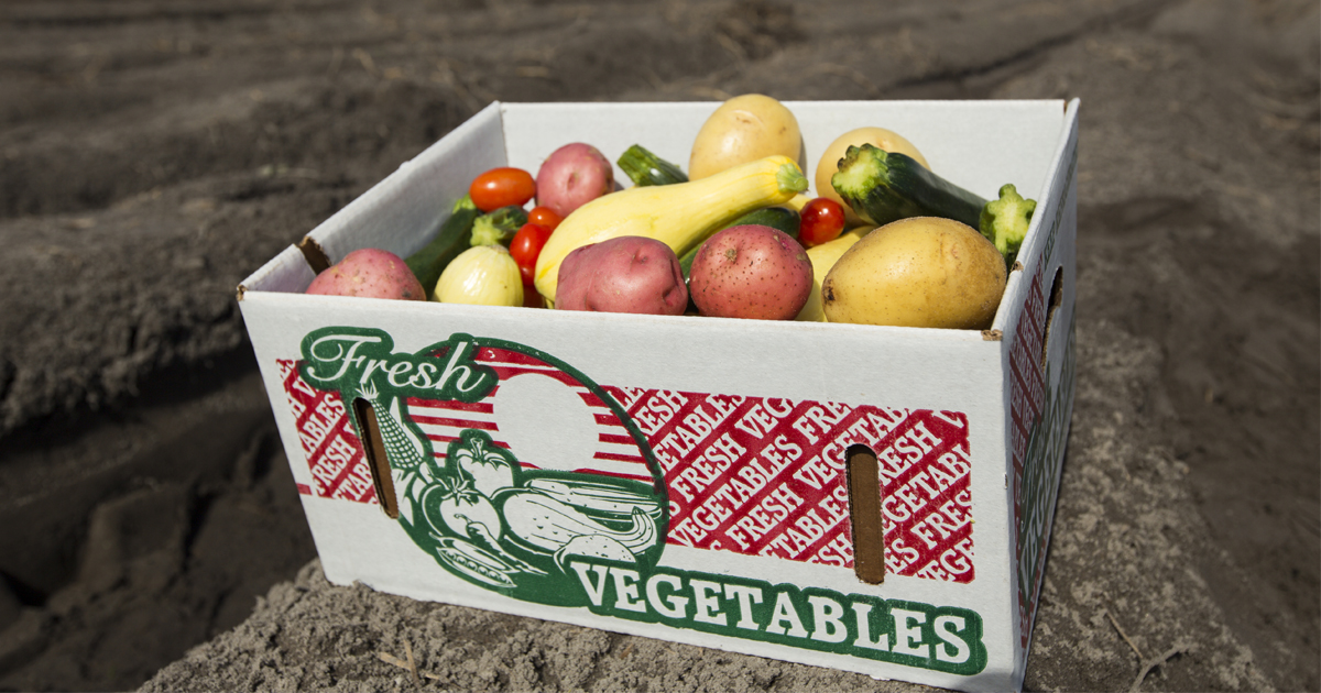 Add Florida-grown produce to your winter meals - News