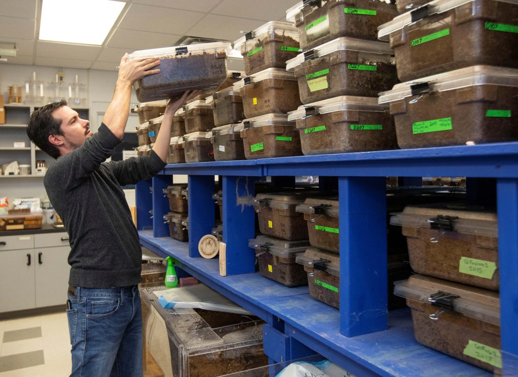 UF/IFAS unveils online tool: Stay ahead of termite risk with an ...