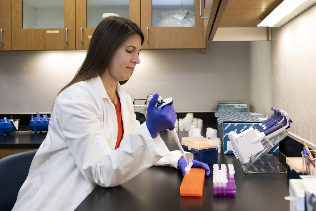 UF scientists receive grant to study fumigation impacts on soil health ...