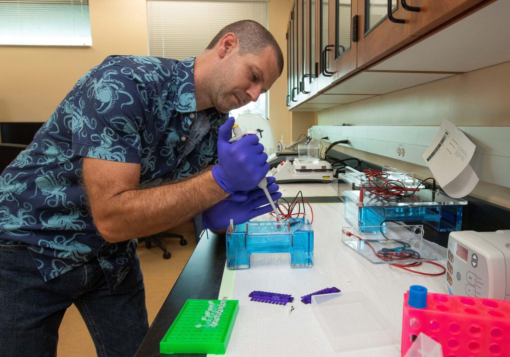 UF/IFAS scientists develop groundbreaking method for detecting DNA of ...