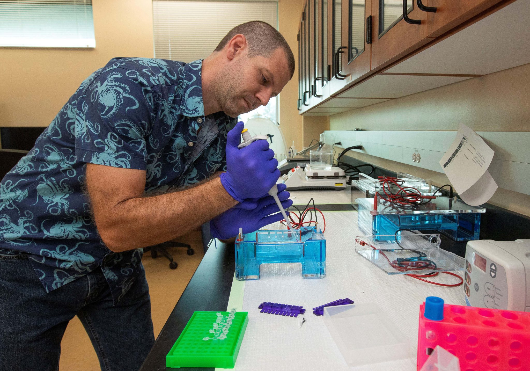 UF/IFAS scientists develop groundbreaking method for detecting DNA of ...