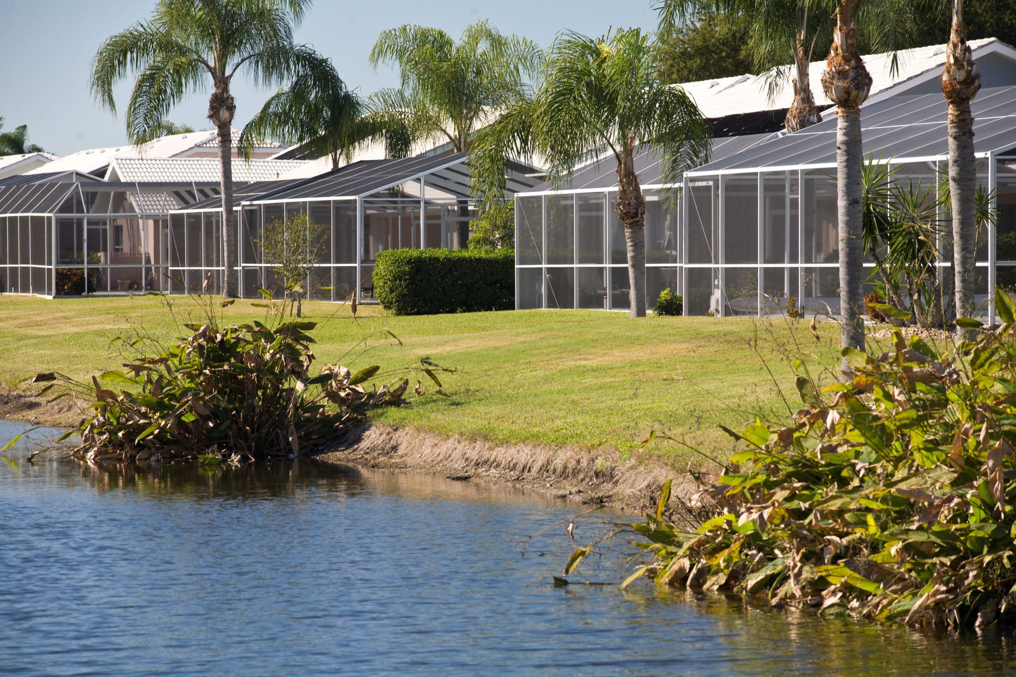 Free UF/IFAS Extension webinars for South Florida landscapes address ...