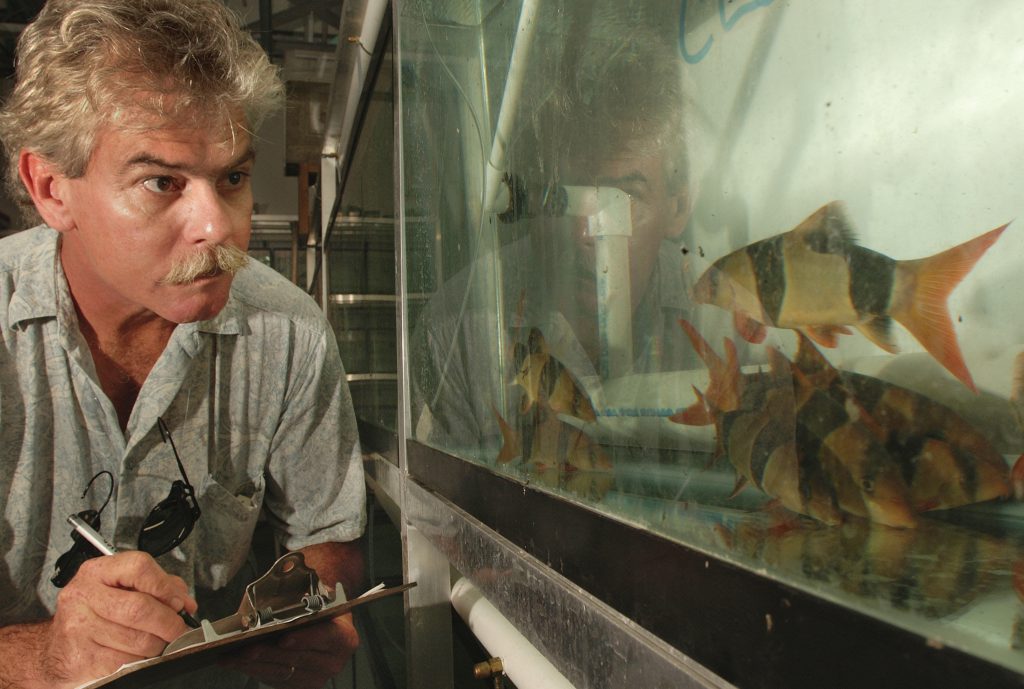 UF survey: Florida tropical fish farmers bring state $172 million in ...