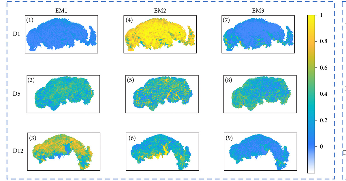UF scientists use AI to uncover signs of early decay in produce - News