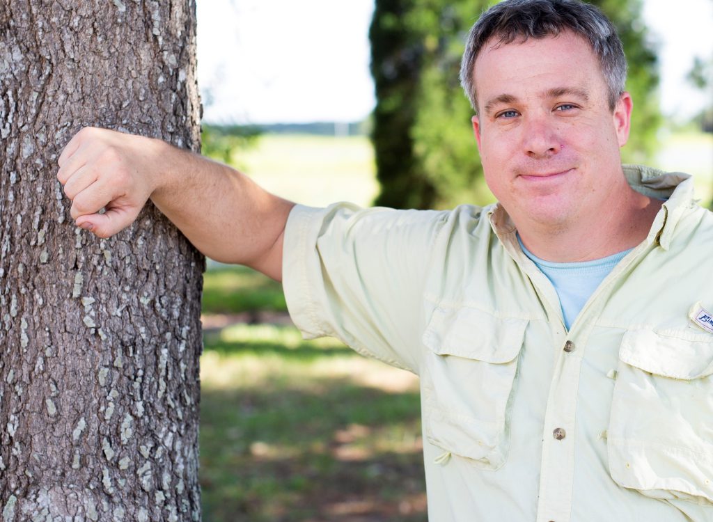 Study: Most trees survive winds from hurricanes as strong as Category 1 ...