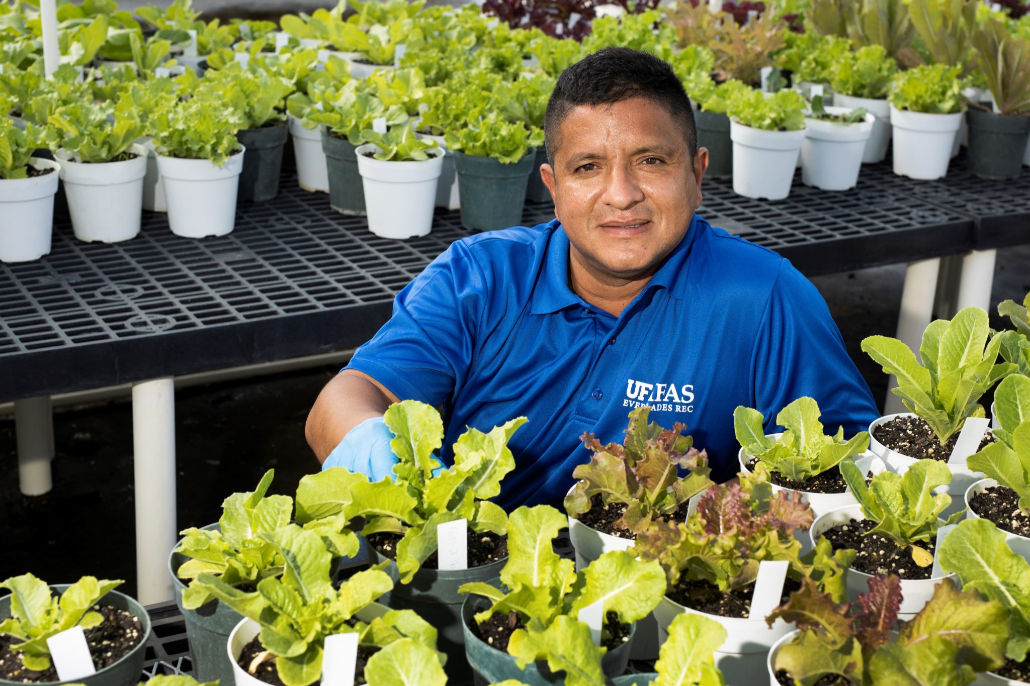 This UF/IFAS assistant professor and 2022 Extension Specialist of the ...