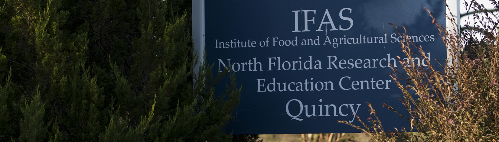 UF alum Dean Pringle to lead North Florida Research and Education ...