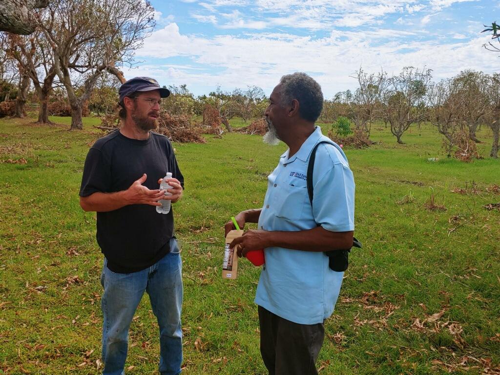 After Ian, Pine Island producers get UF/IFAS Extension help ...