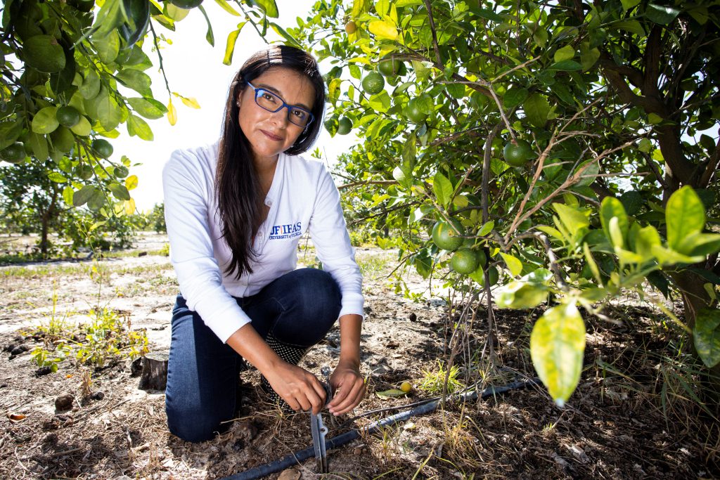 A UF/IFAS assistant professor and award-winning engineer uses ...