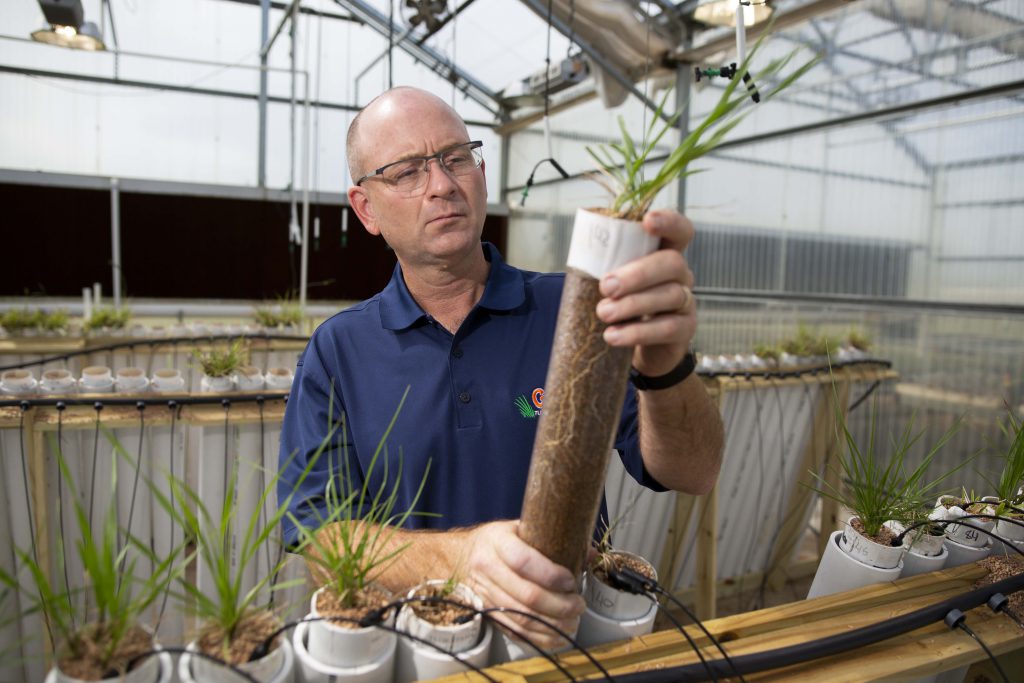 UF turf scientist’s environmental stewardship recognized with national ...