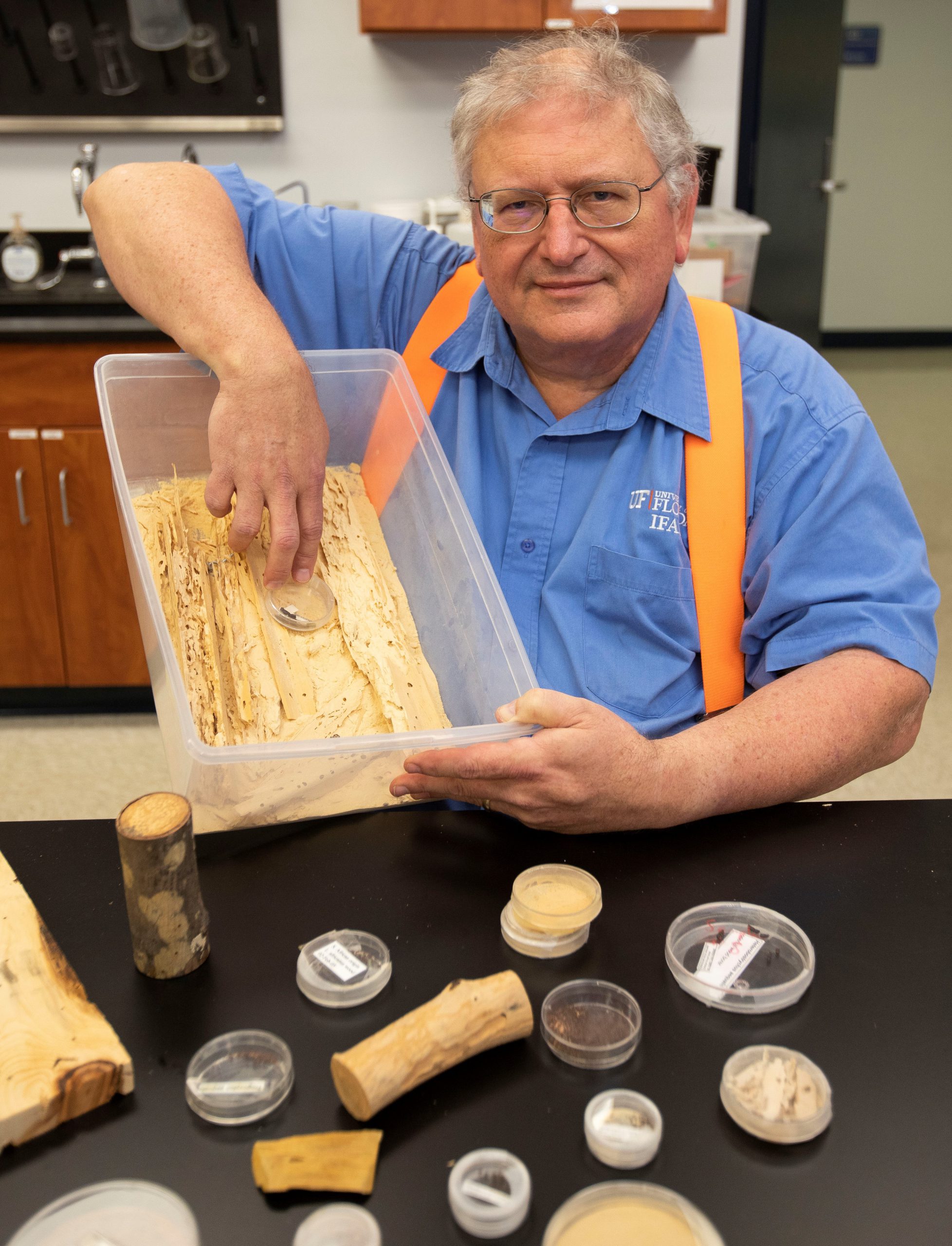 UF/IFAS entomologist lists top eight invasive species that invade ...