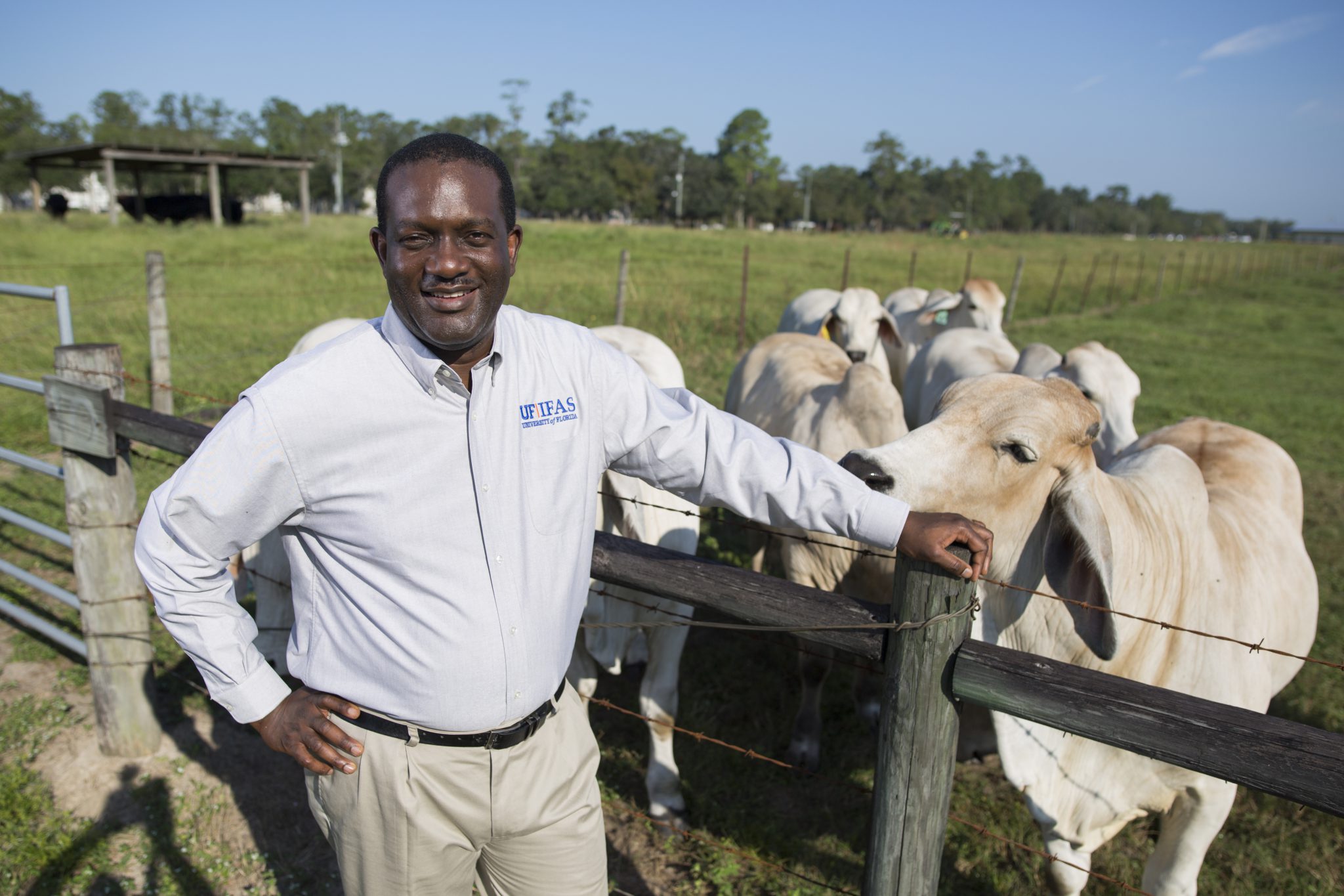 Forum tackles how AI can help deal with global food security - News