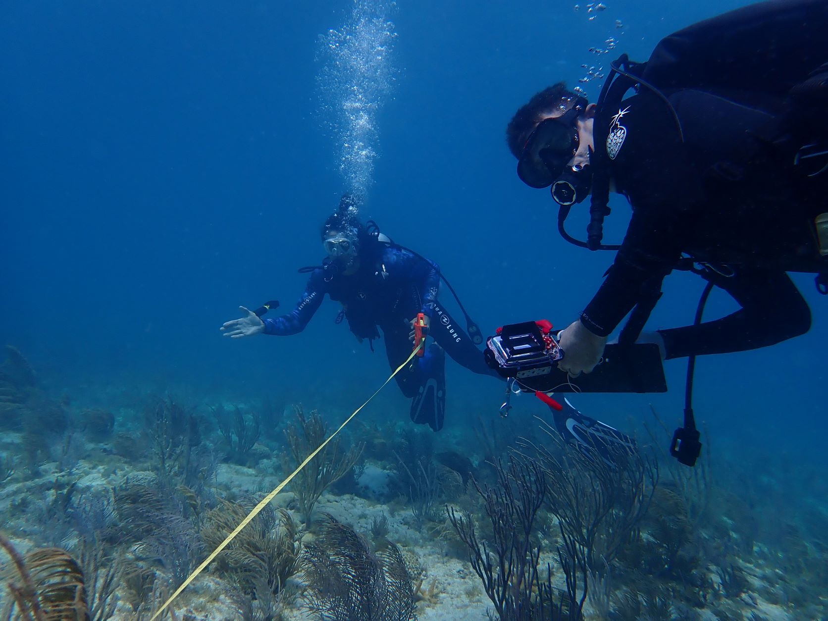 UF-led research gets help from NFL player and an Air Force veteran to ...