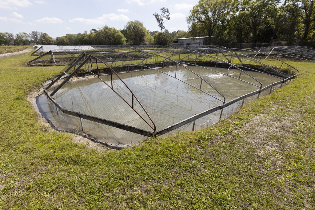 New director named for UF Tropical Aquaculture Lab, envisions expansion ...