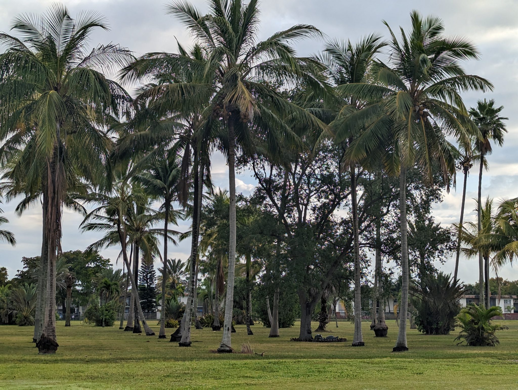 UF/IFAS study leads to milestone advances in understanding lethal ...